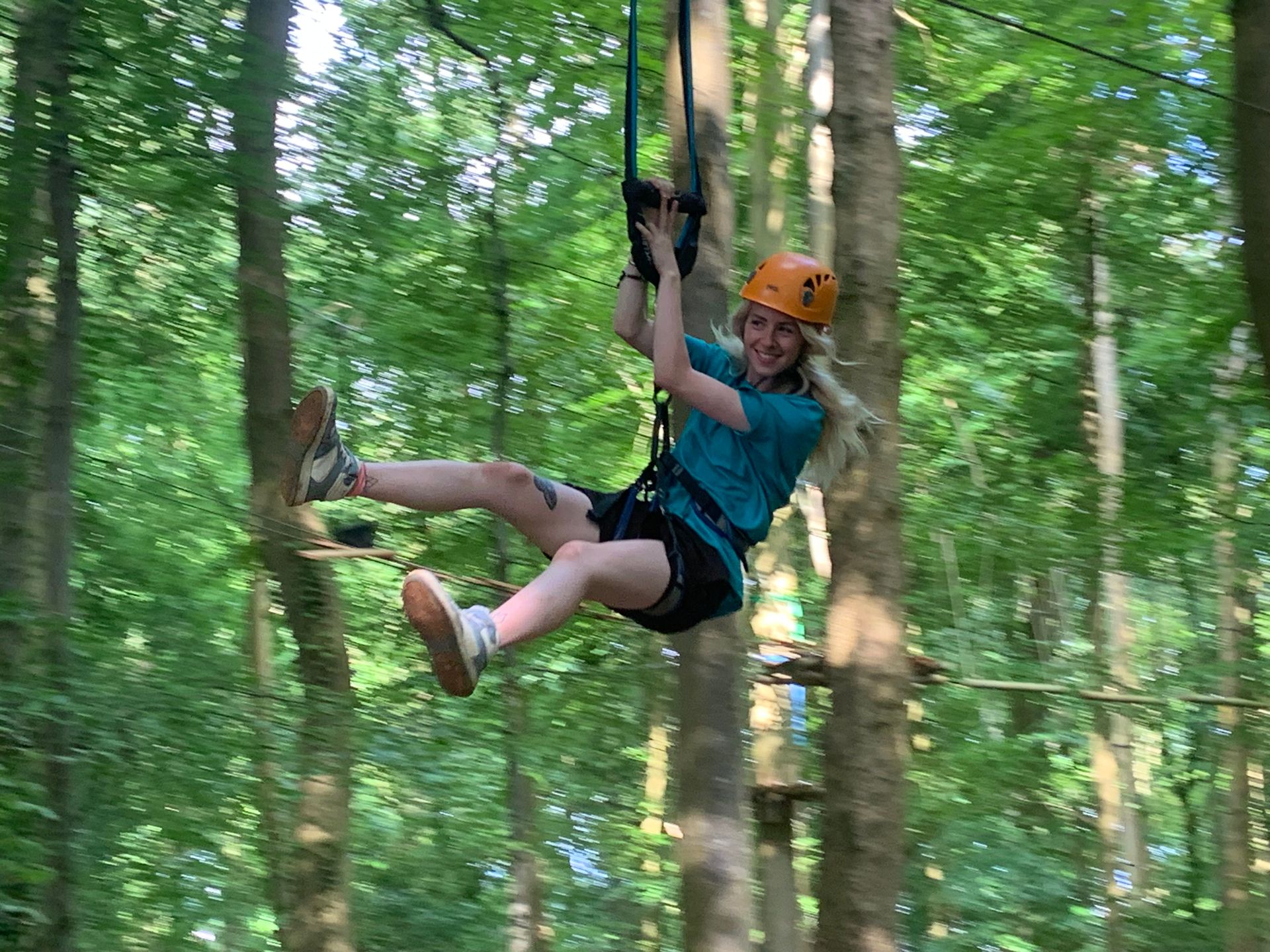 Tree Tops High Ropes