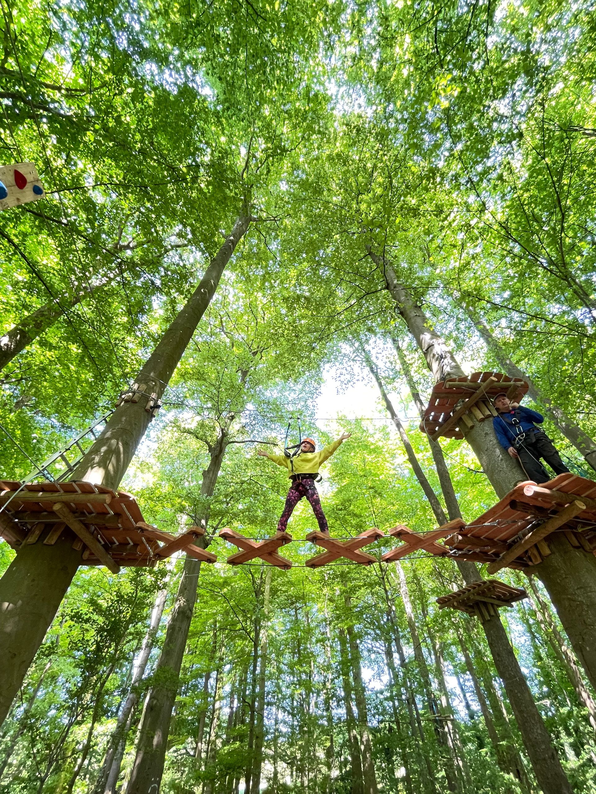 Tree Tops High Ropes