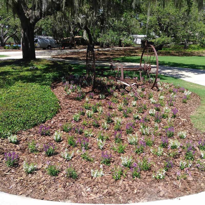 Buzz Landscapes | Landscaping Company | New Port Richey