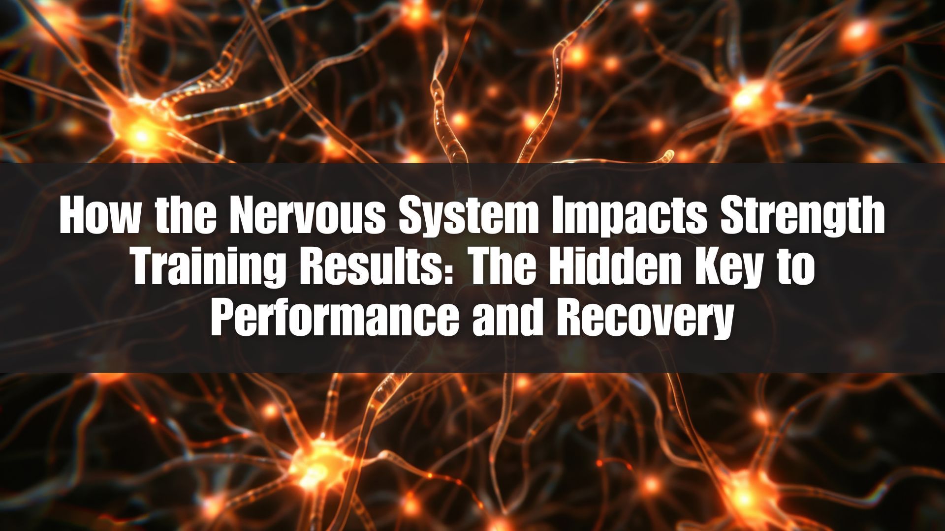How the Nervous System Impacts Strength Training Results: The Hidden ...