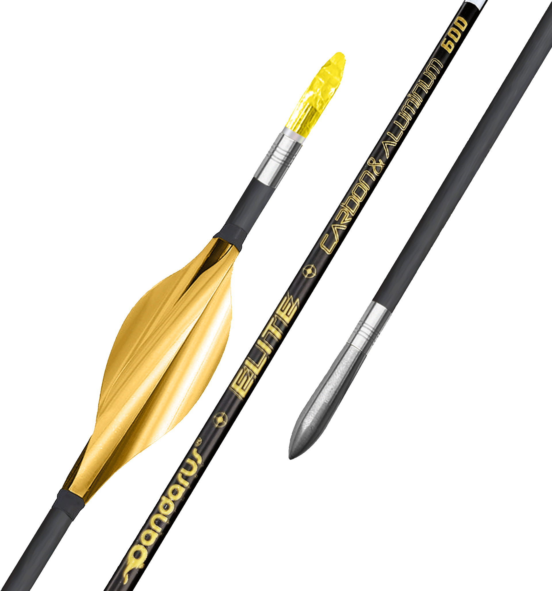 Pandarus Archery