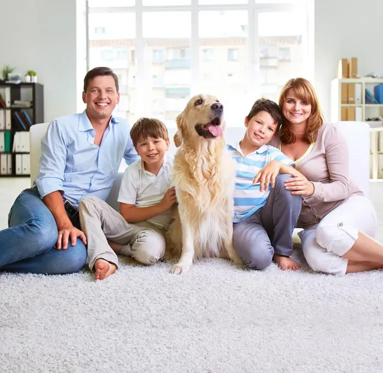 Canberra Flooring Specialists | Burrows Carpets & Floors