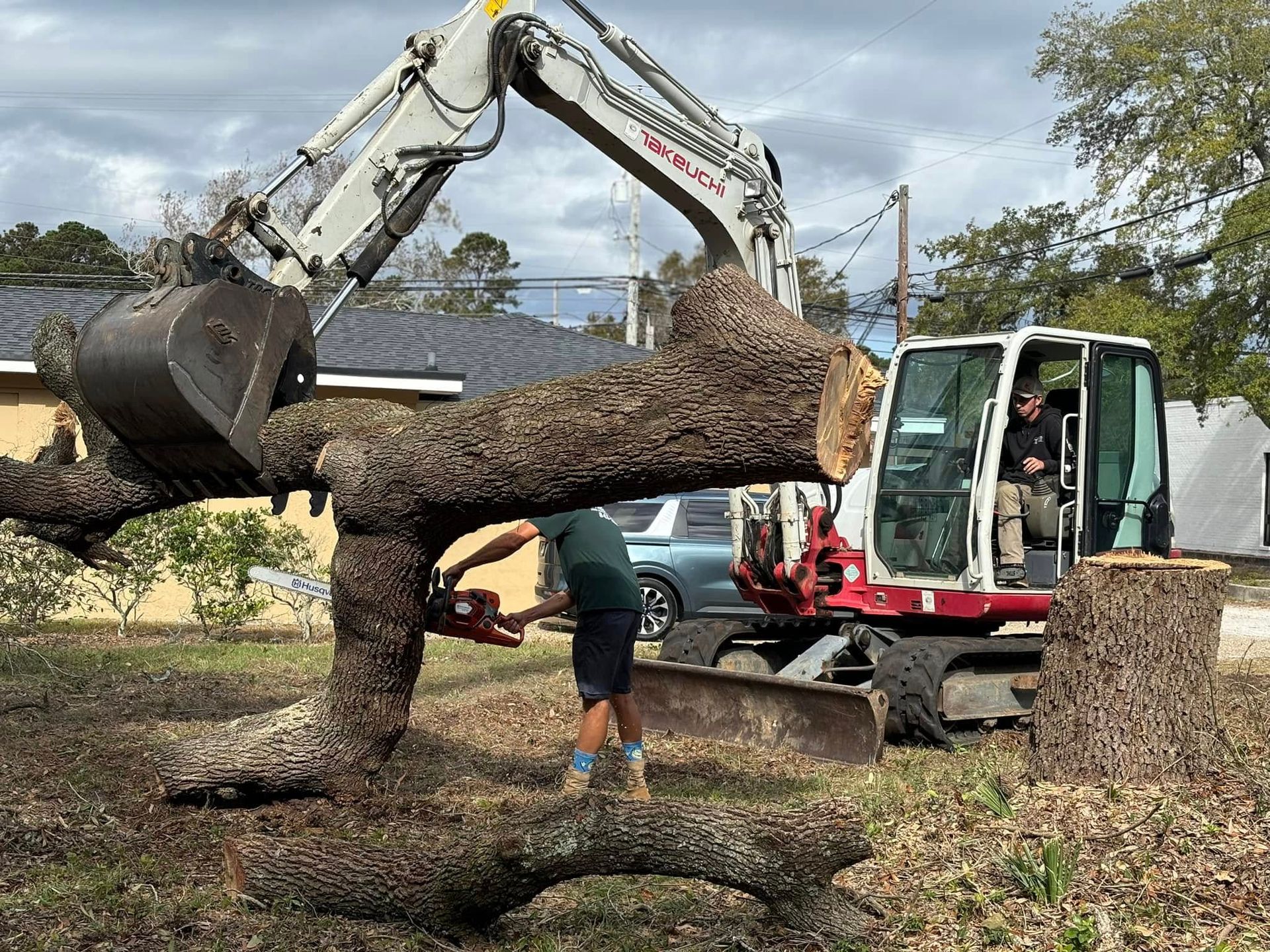 Myrtle Beach Tree Service | J. Macaluso Tree Service