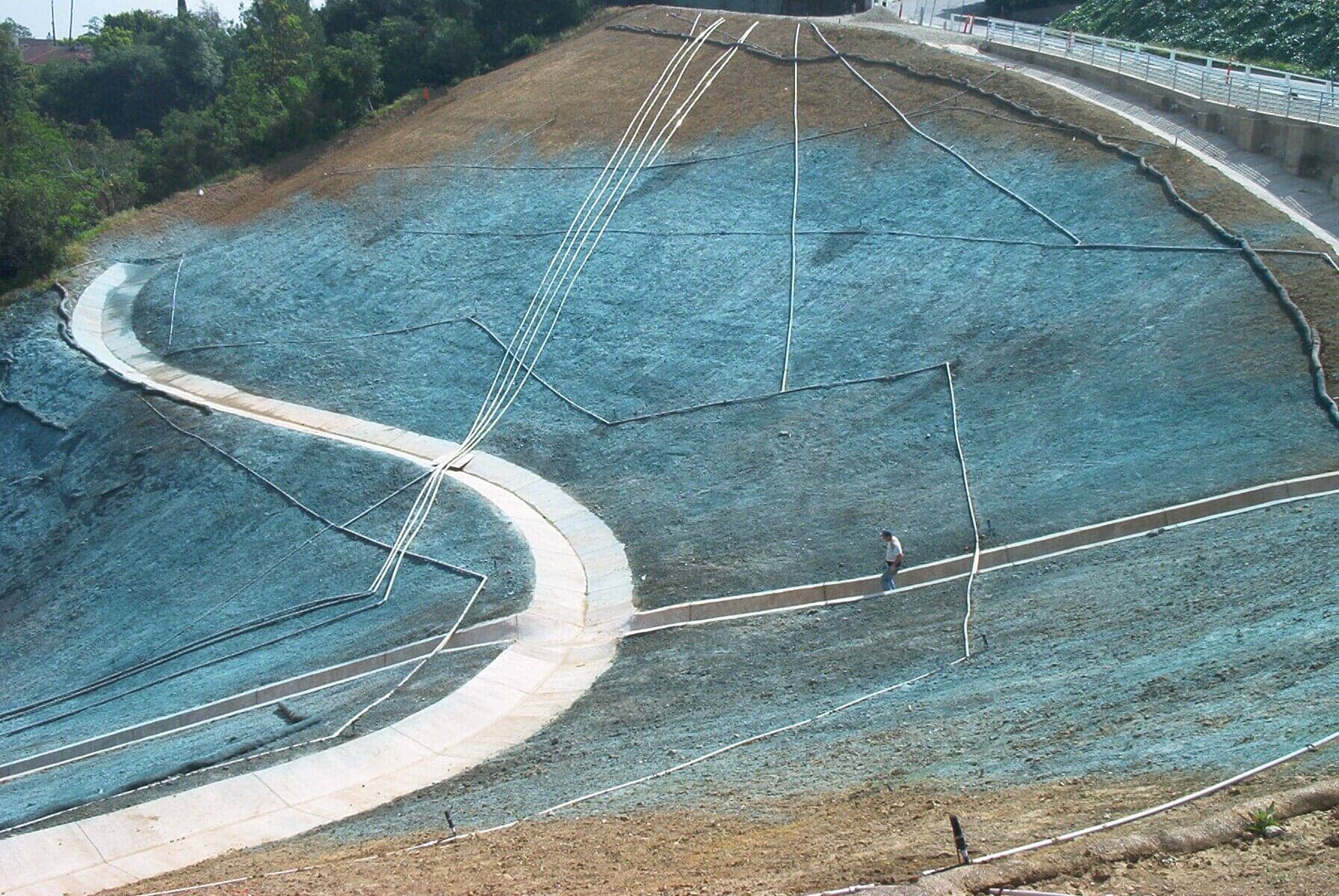 Project Gallery | Coronado, CA | Bill’s Hydroseed