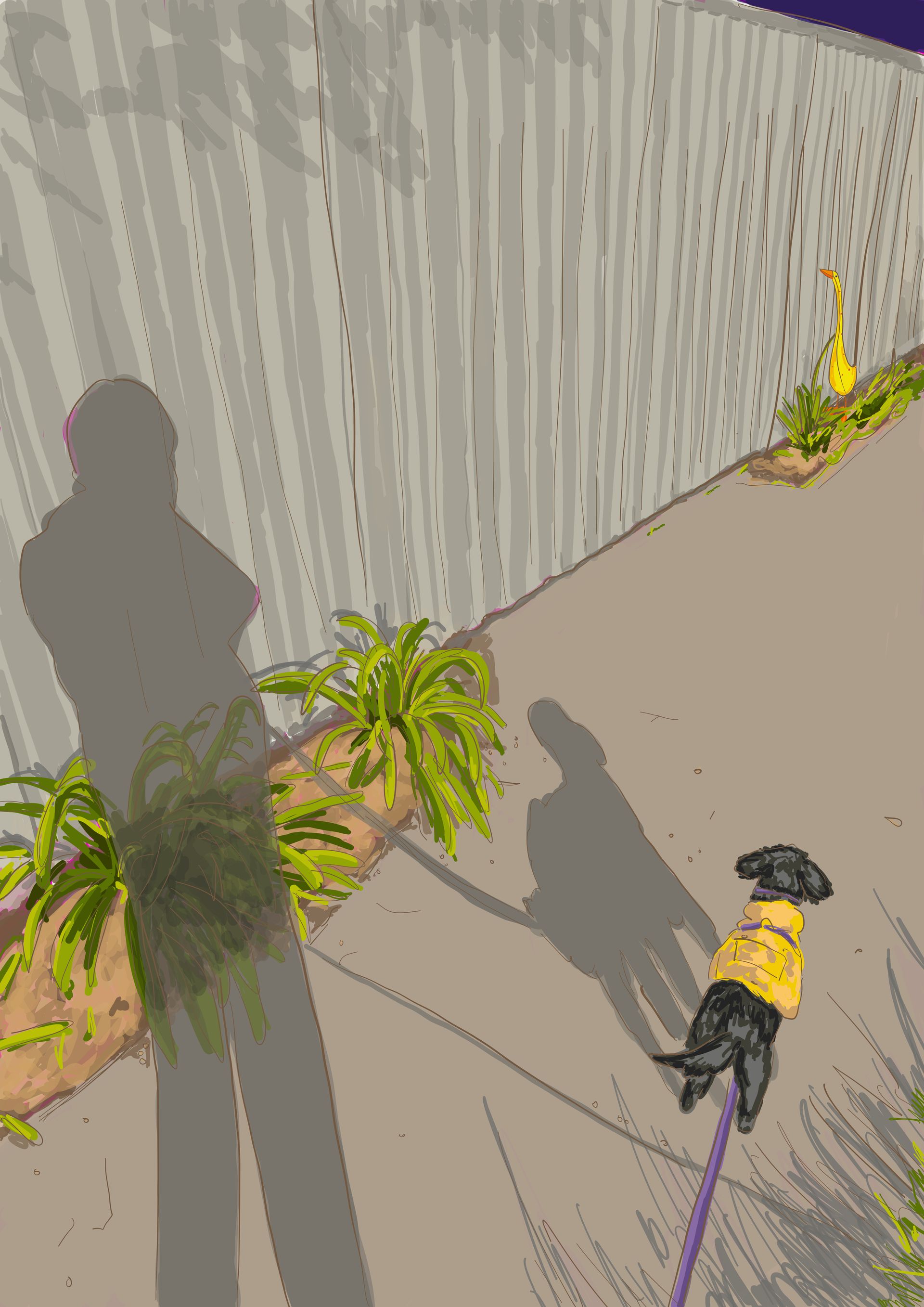 Digital Art Prize 2023 | Alice Springs