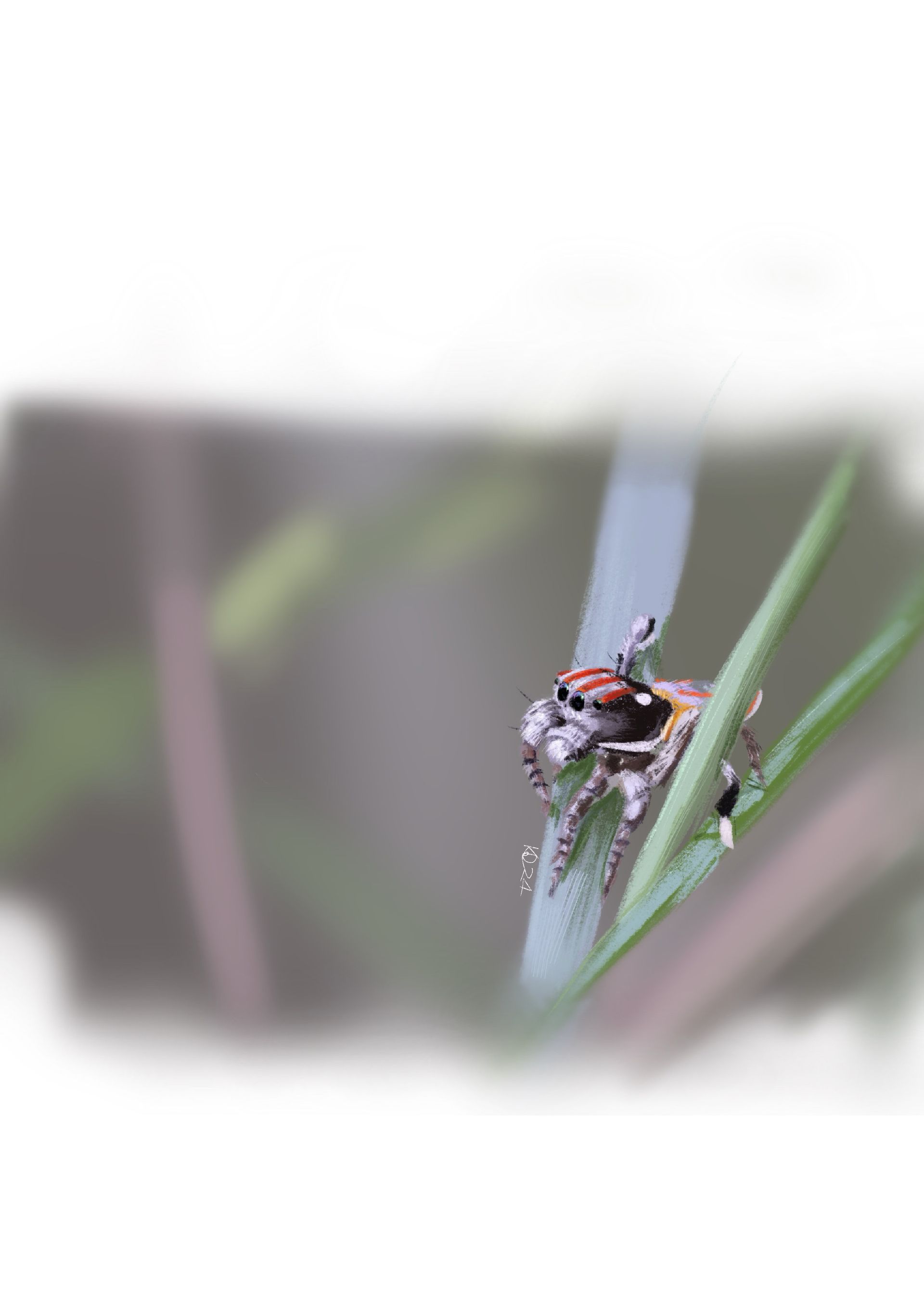 Digital Art Prize 2023 | Alice Springs