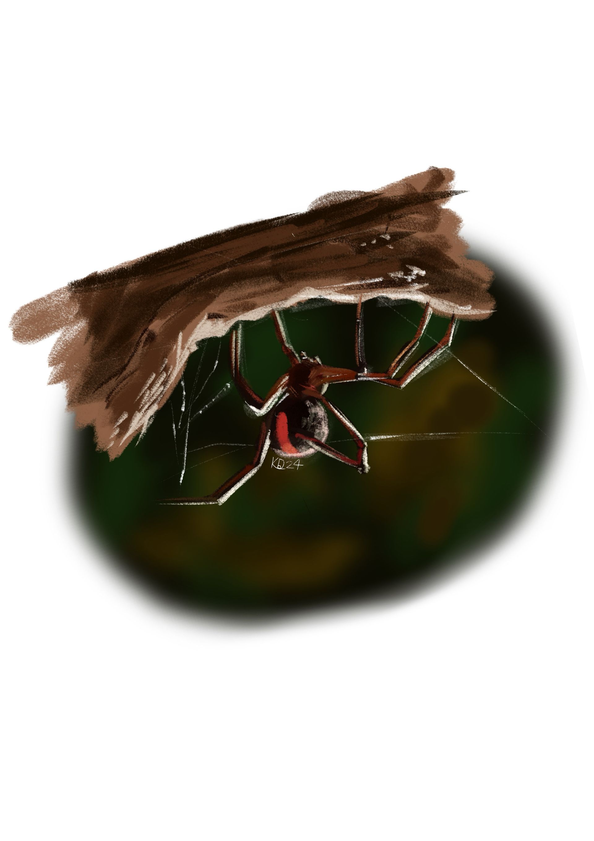 Digital Art Prize 2023 | Alice Springs