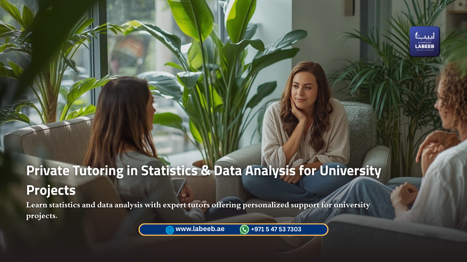 Private Tutoring in Statistics and Data Analysis for University Projects
