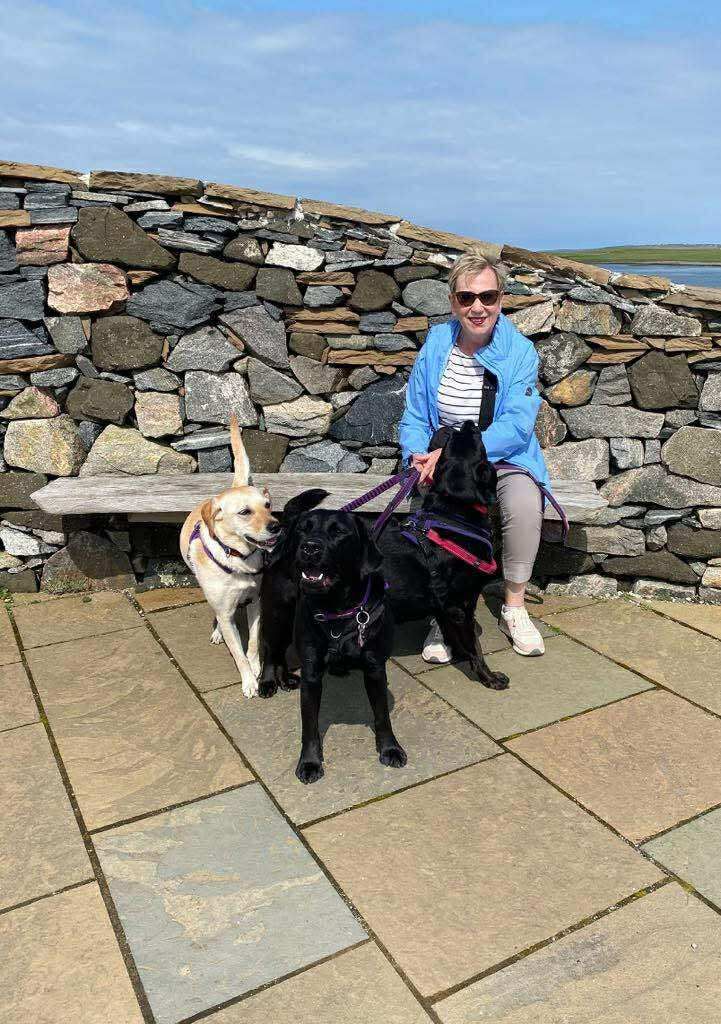 Rehoming - Labradors looking for a home