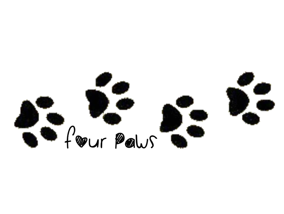 Sanctuary Acres Boxer Rescue