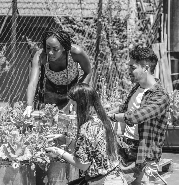 Home | Southeast Affordable Housing Administration