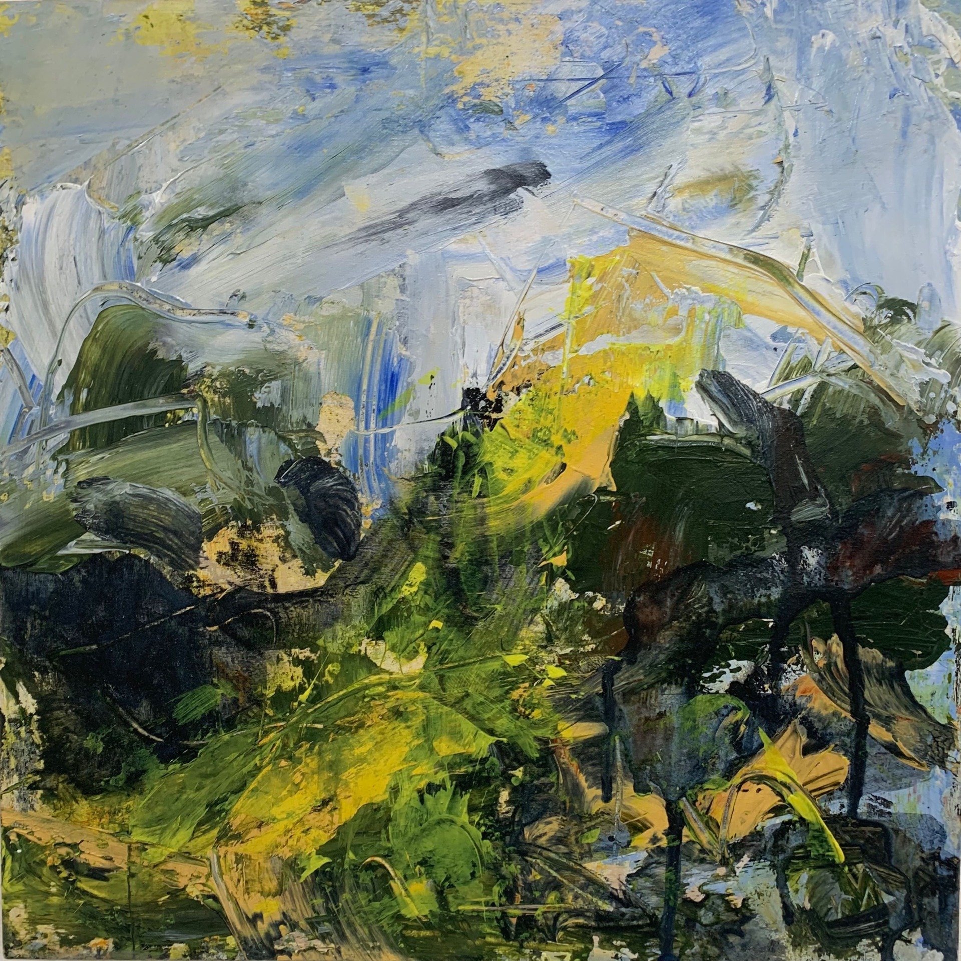 Polly Dutton - AROUND THE DOWNS