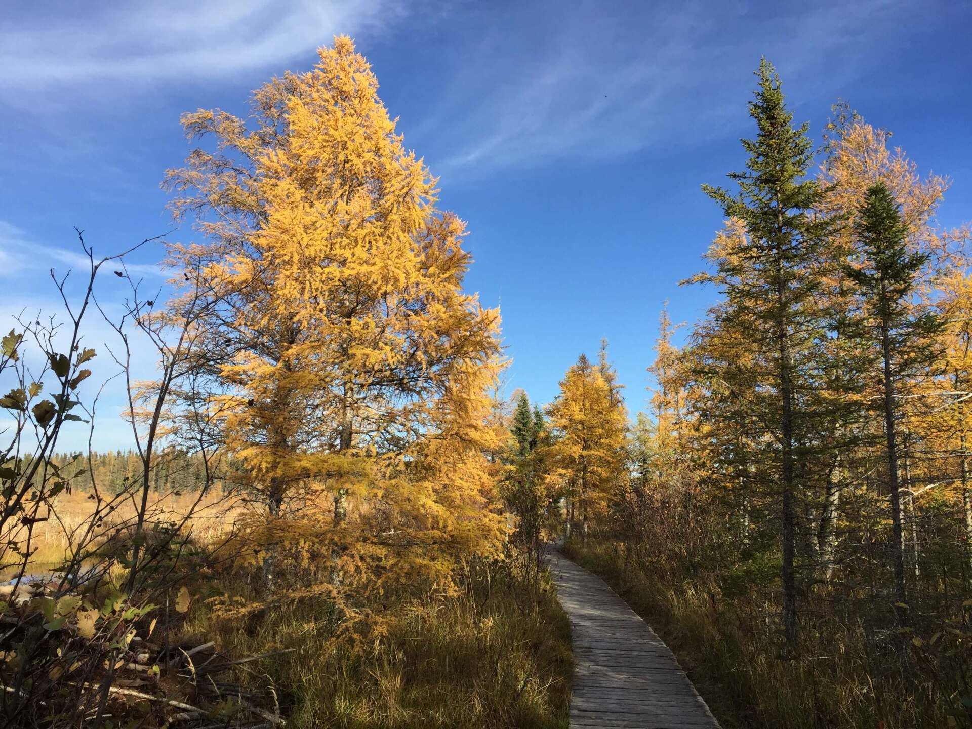 Building Partnerships | Rainy Lake Conservancy
