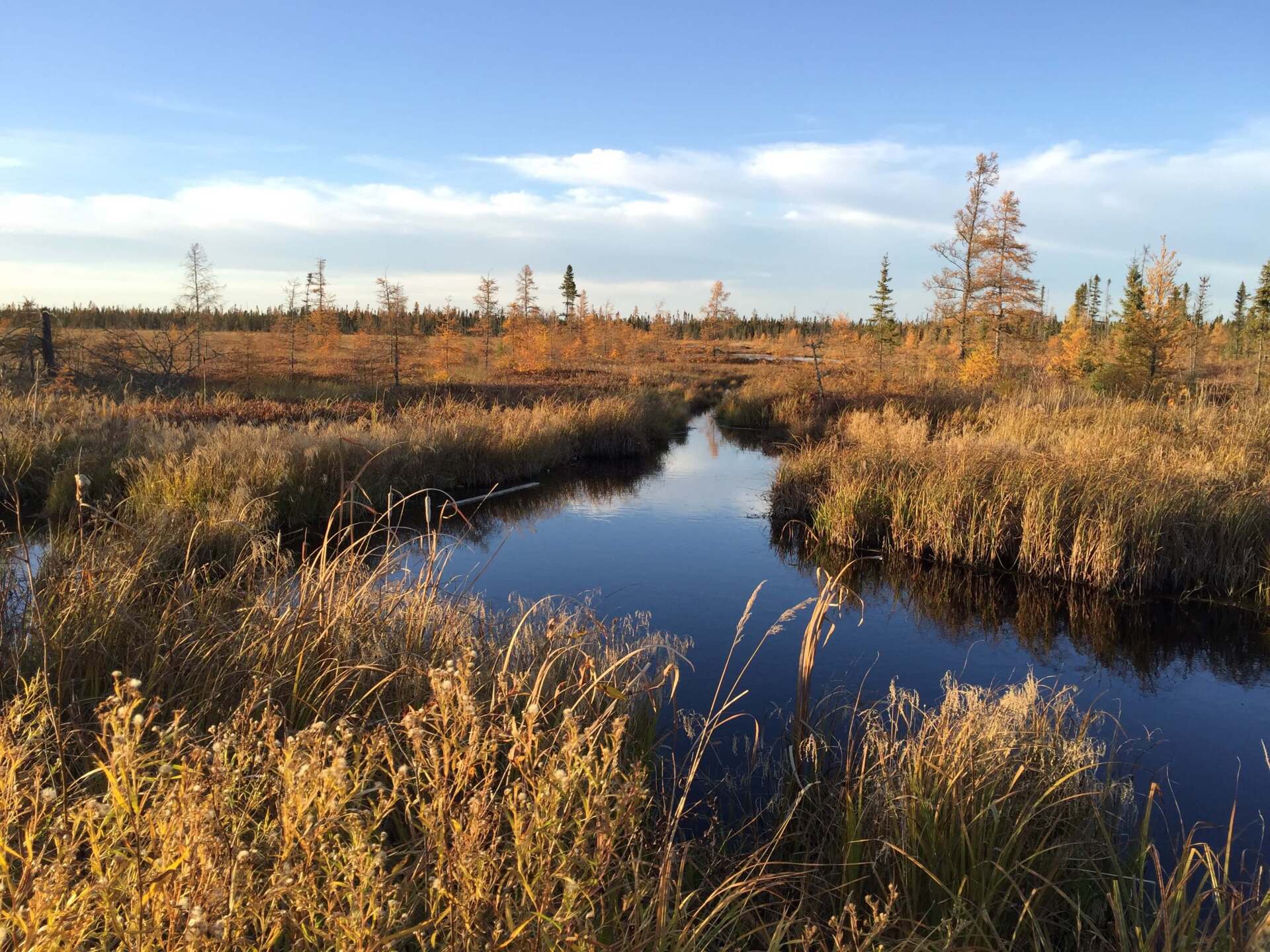 Building Partnerships | Rainy Lake Conservancy