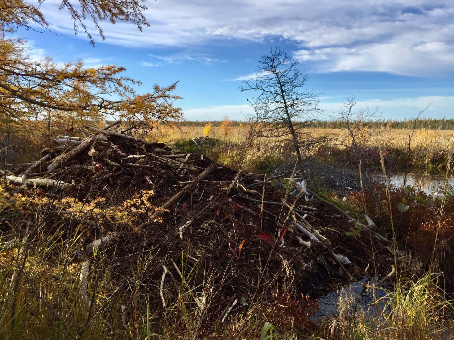 Building Partnerships | Rainy Lake Conservancy