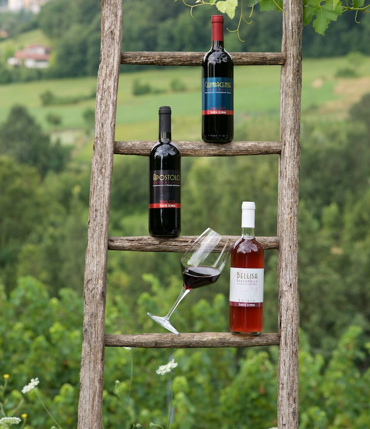 Tenuta Lonisa