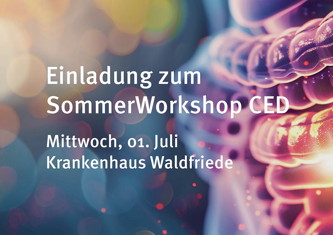 CED Sommerworkshop