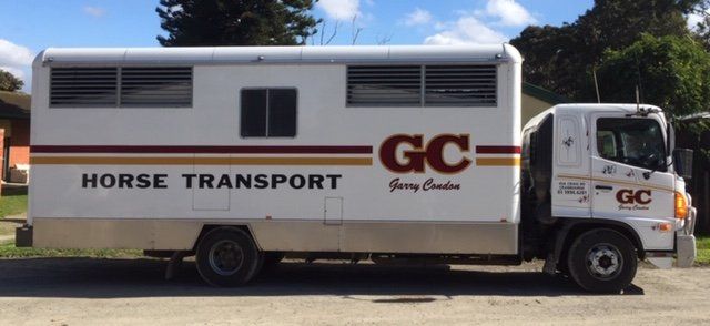 GC Horse Transport | Gallery