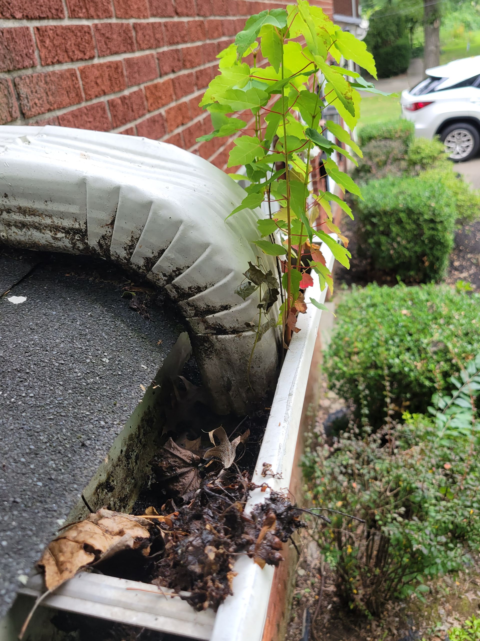 Clean gutters | Louisville, KY | Claxton Gutter Cleaning