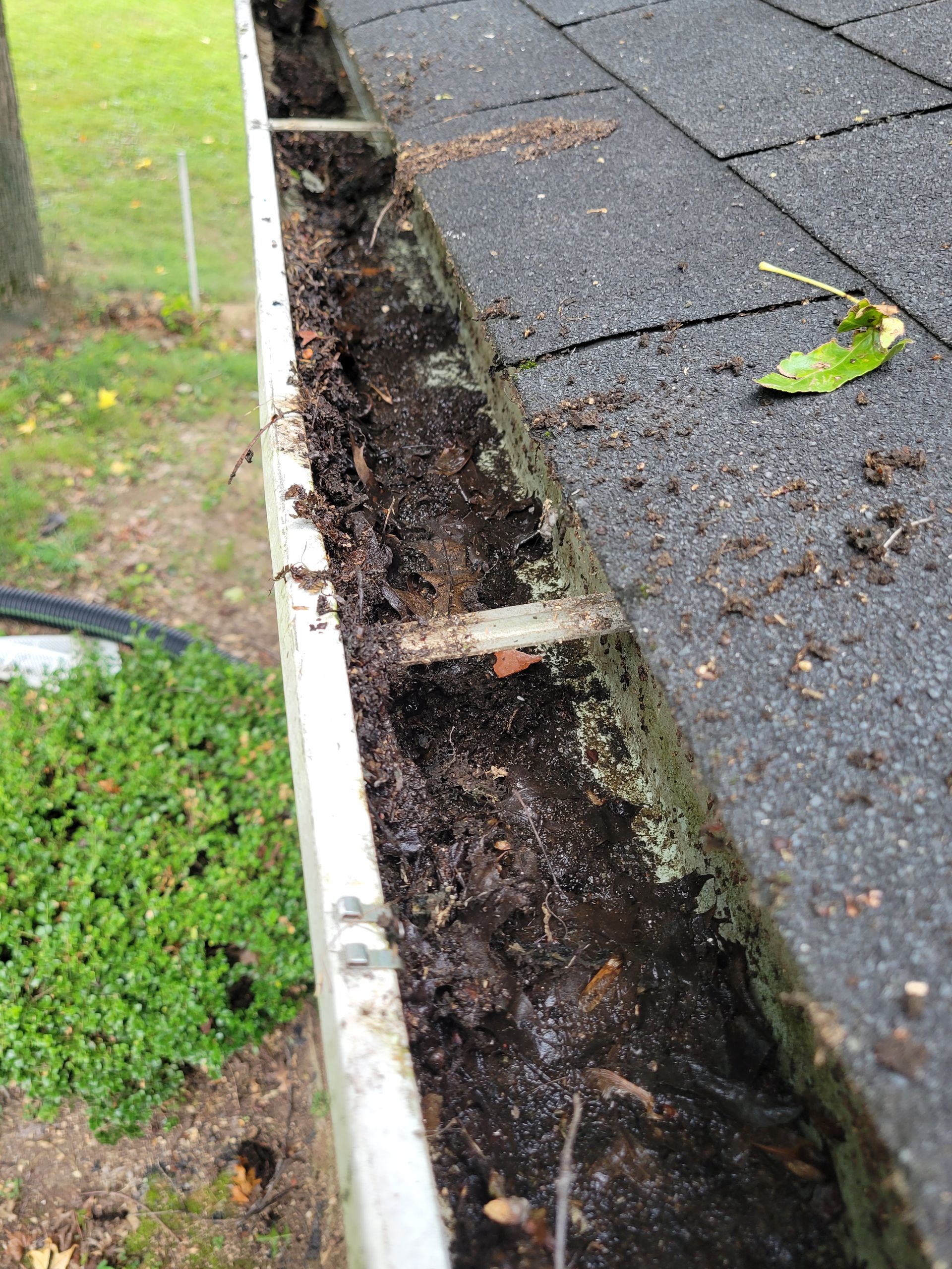 Clean gutters | Louisville, KY | Claxton Gutter Cleaning