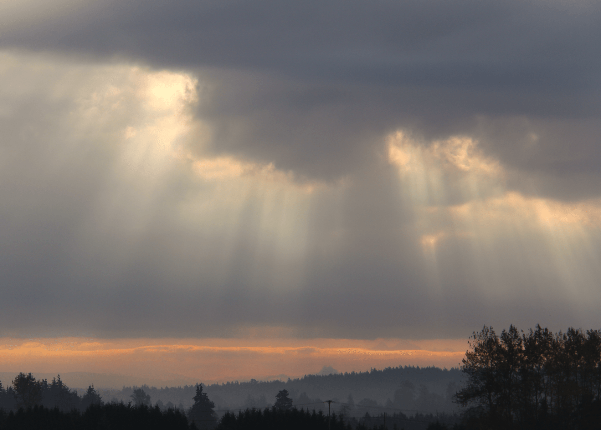 Photos of the Serpentine River with James and Rod