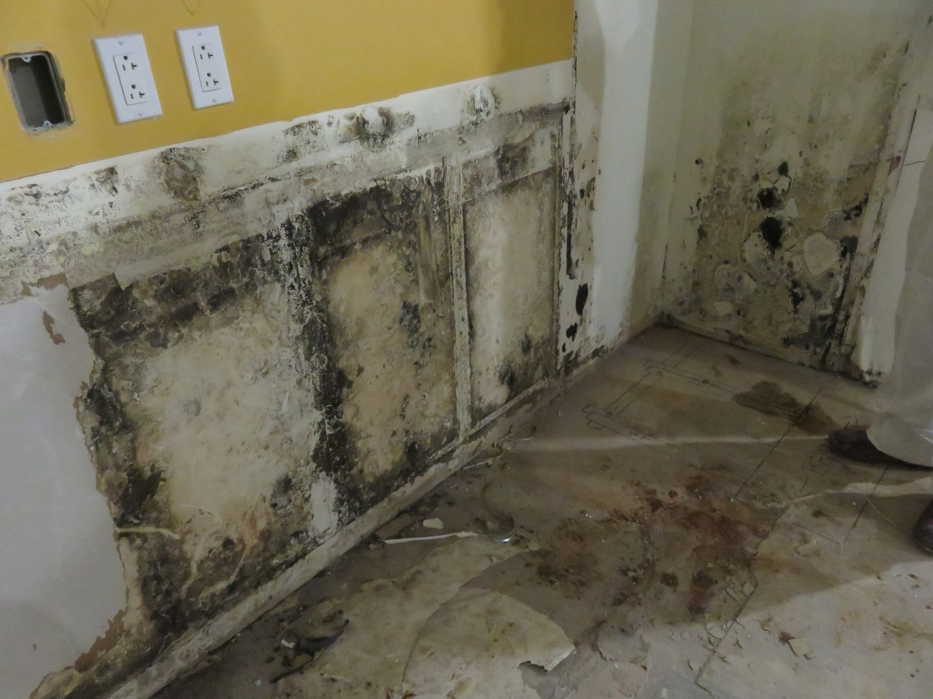Metro DC Areas Leading Mold-Water-Storm-Fire Restoration Co