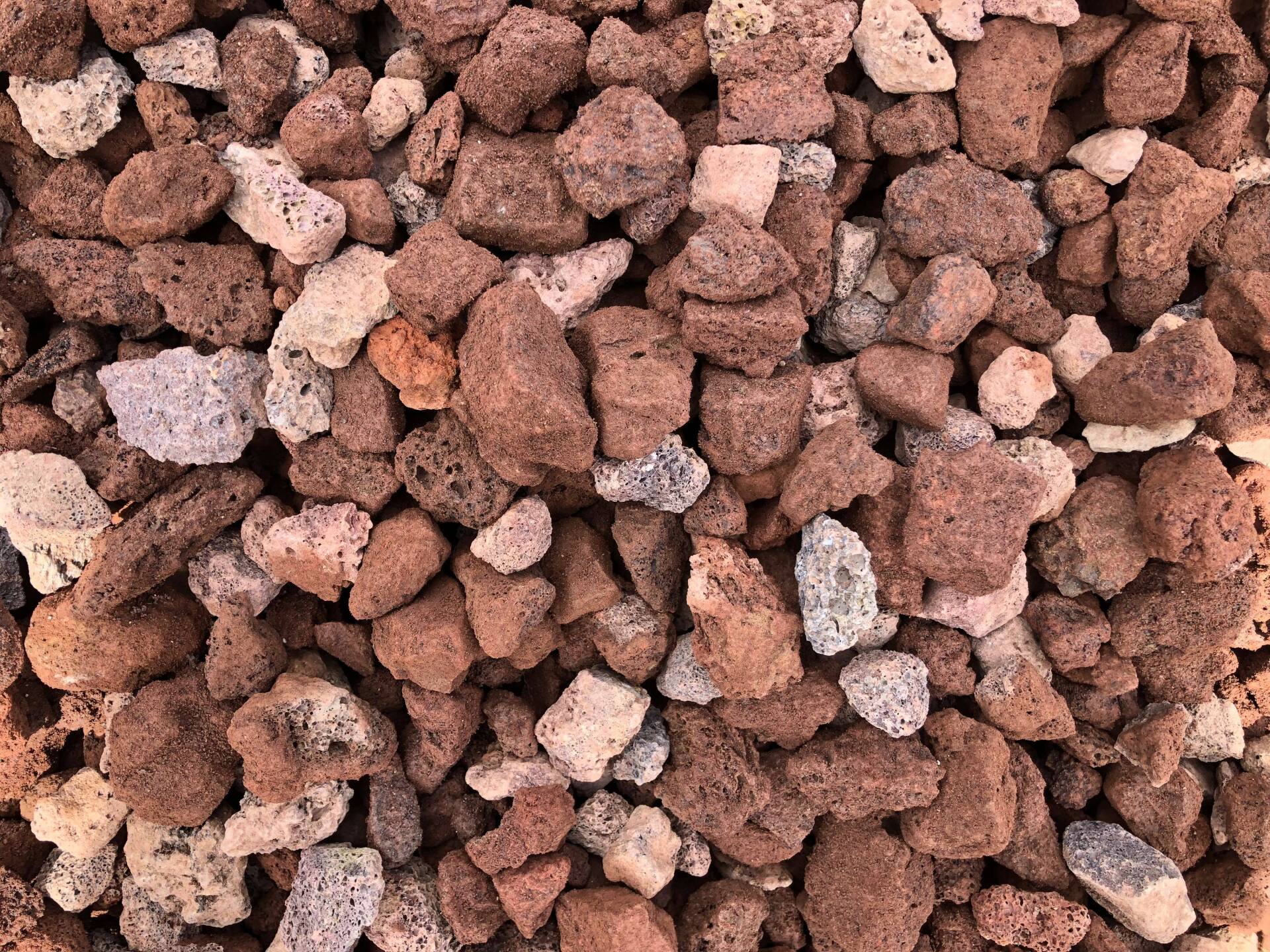 Products | Terang Garden Supplies