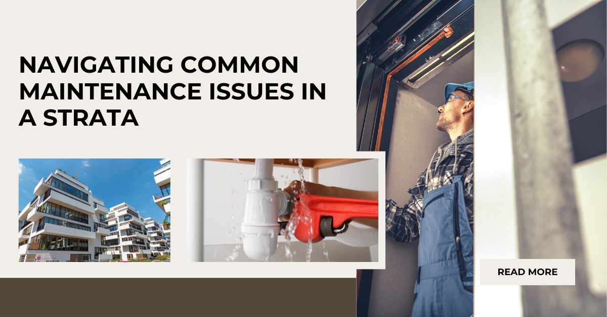 Navigating Common Maintenance Issues In A Strata