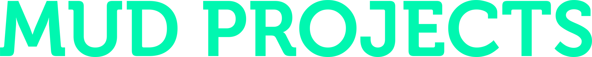 Home [www.mud-projects.com]