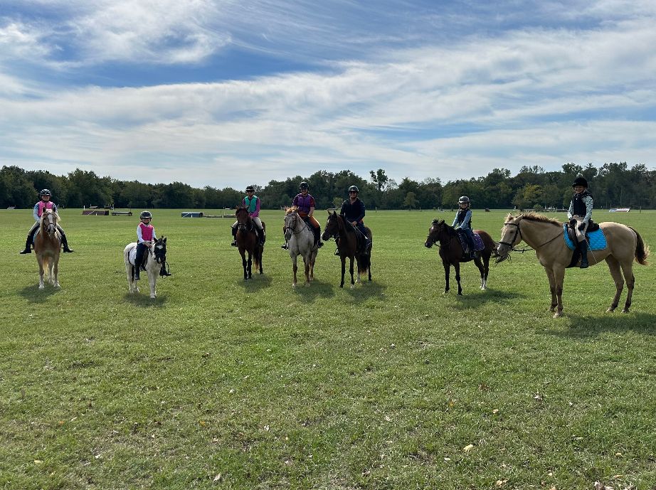 Gallery | Green Trees Farm