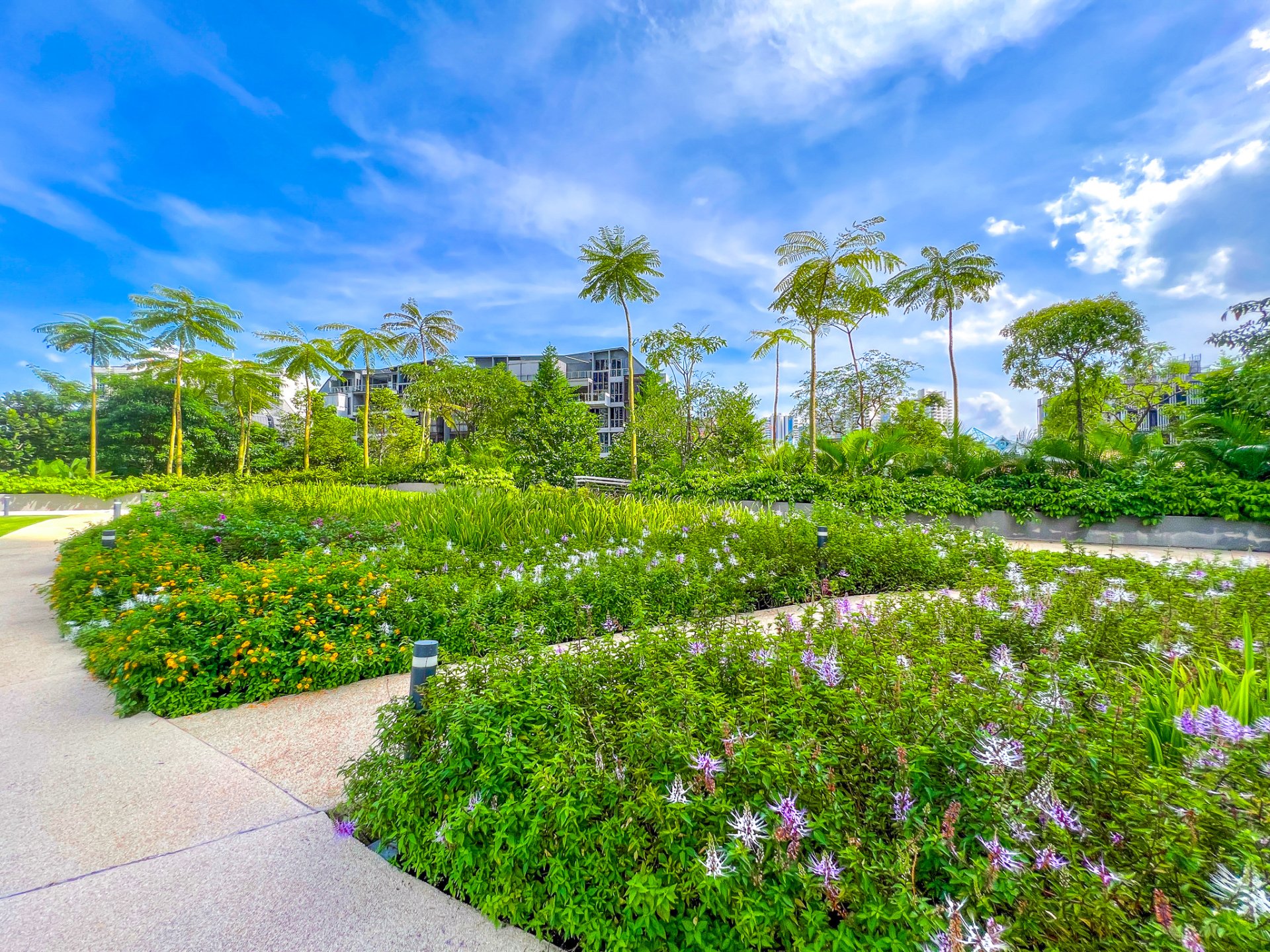 Nature Landscape - Portfolio - Principal Garden