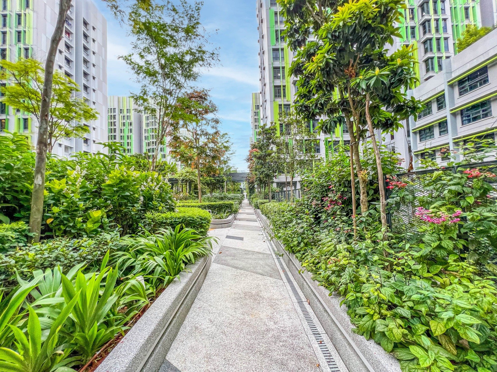 Nature Landscapes - Portfolio - Alkaff Courtview & Lakeview