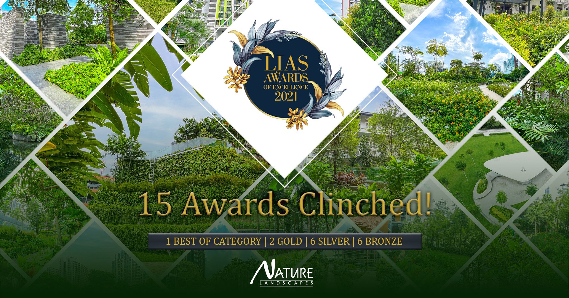 Recognition of LIAS Awards of Excellence 2021