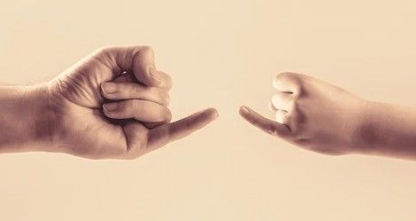 Personal Capacity & Leadership Effectiveness Are Intertwined.