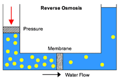 Reverse Osmosis vs. Water Distillation