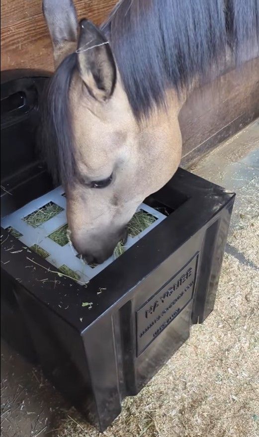 Floor Feeding | Haycube Ltd