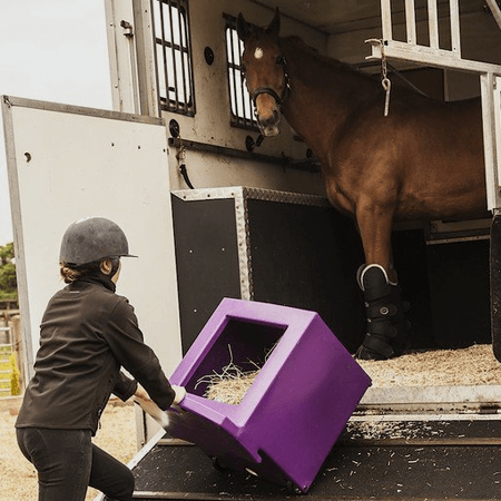Soaking hay | Haycube