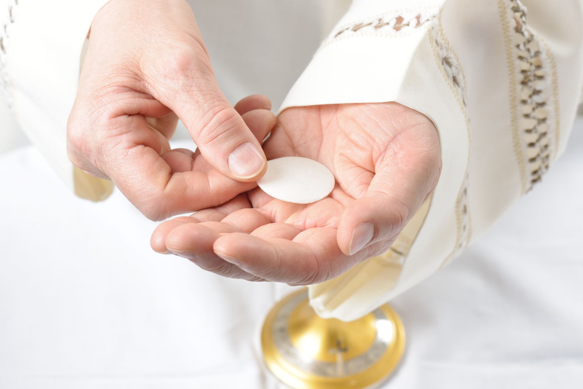 THE MASS: EXPLAINED IN VIDEOS