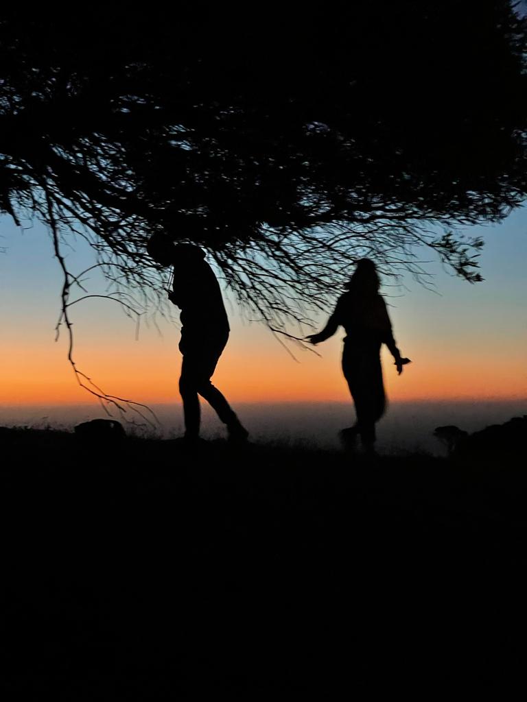 Pipe Track Fynbos picnic and sunset walks-TABLE MOUNTAIN-AirBnb