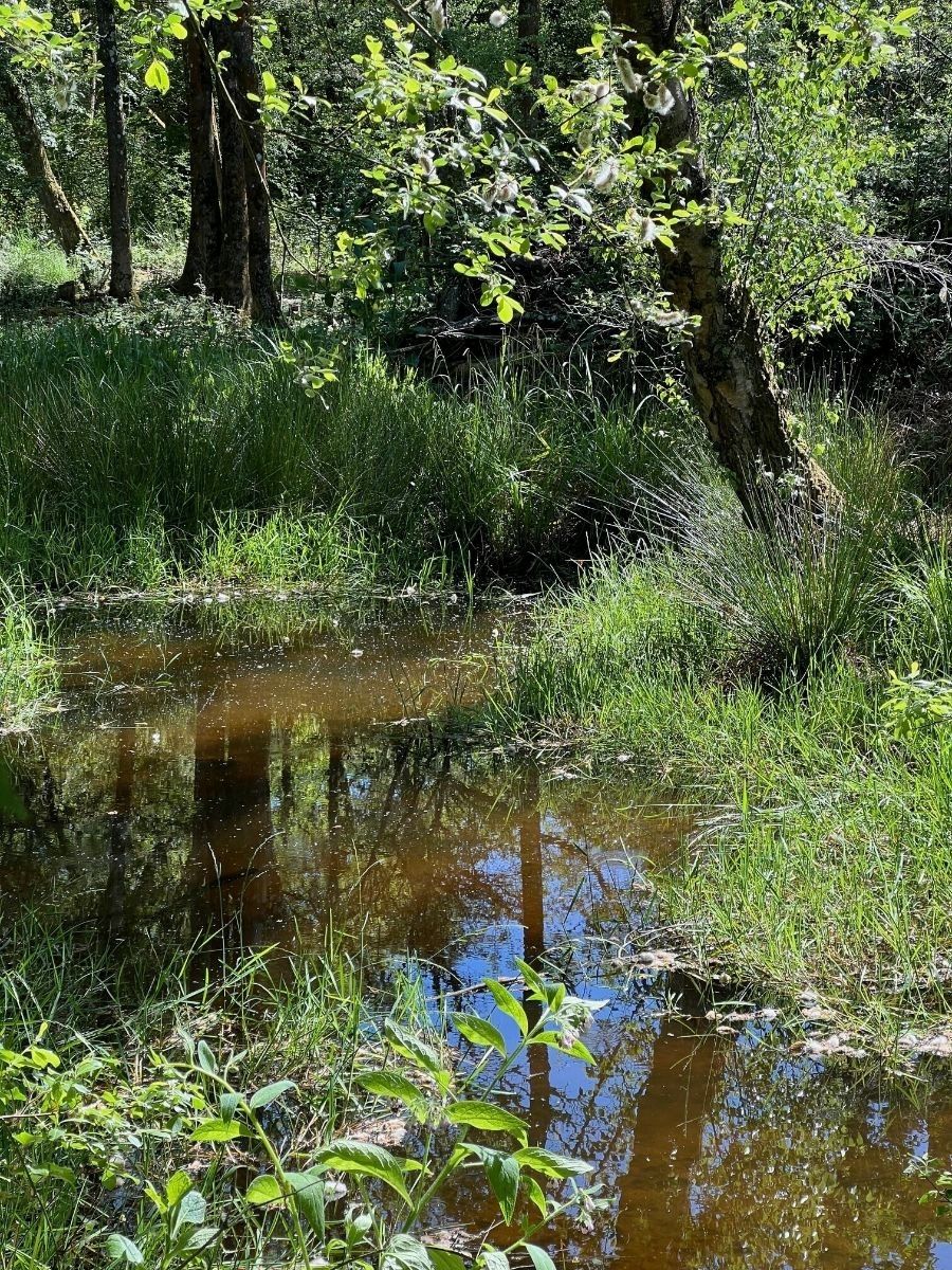 Evenlode Catchment Partnership