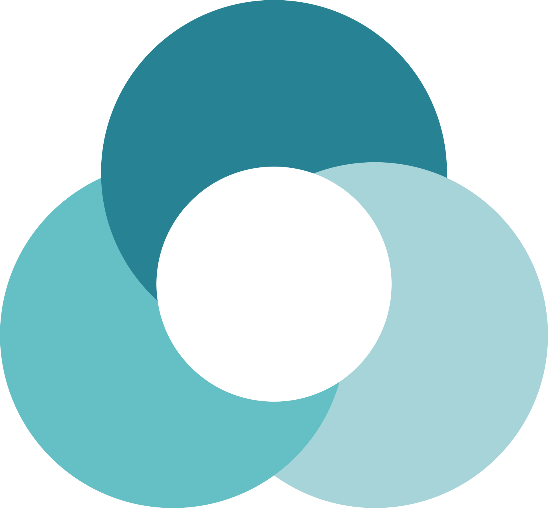 Intrinsic Health Group