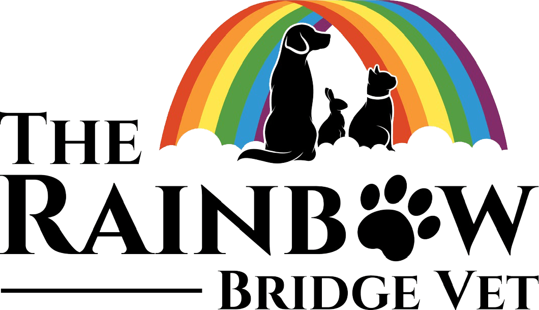Mobile Pet Euthanasia – Nottingham | Rainbow Bridge Veterinary