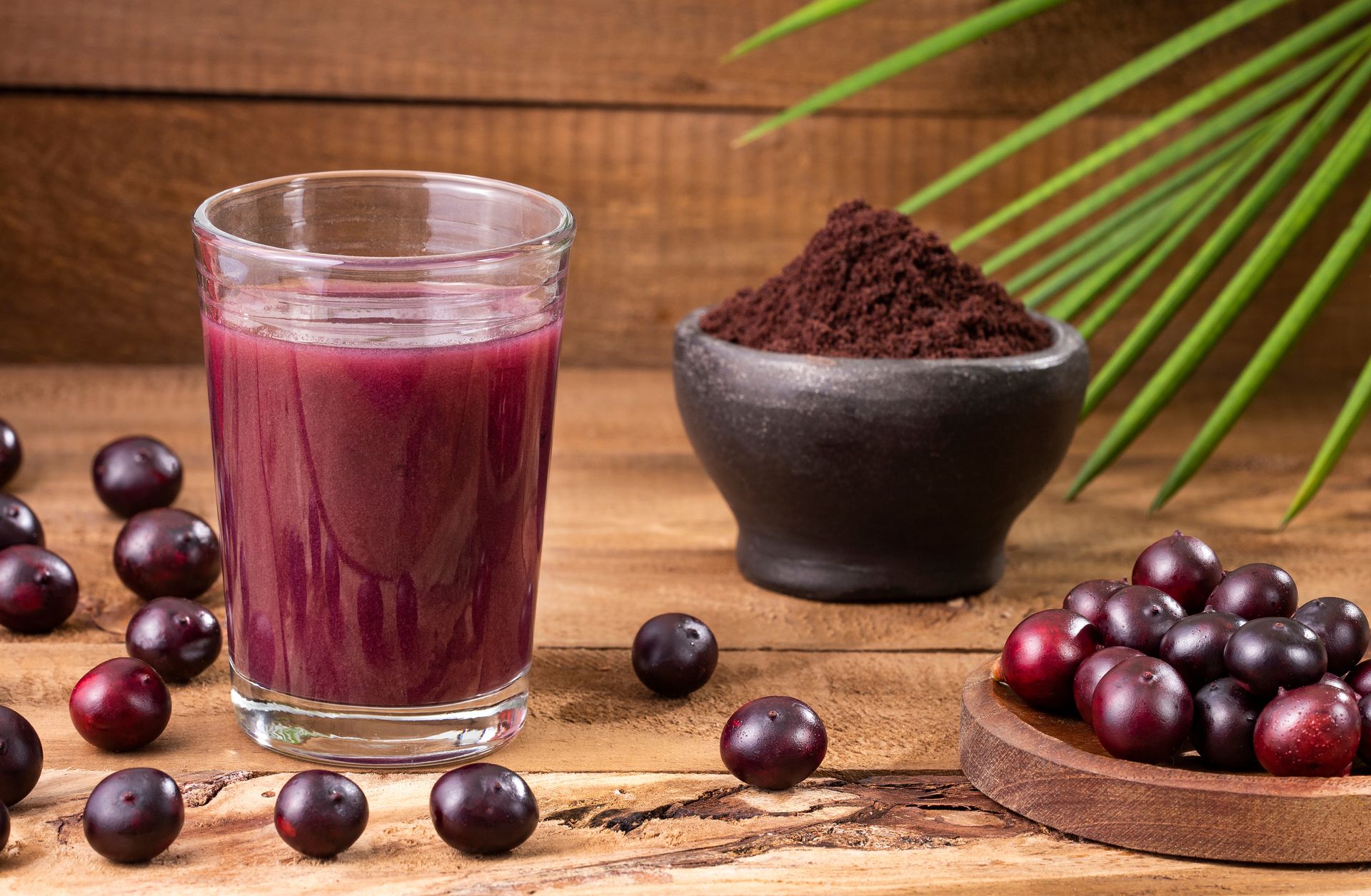 Acai Evaporated | New Acai Amazonas