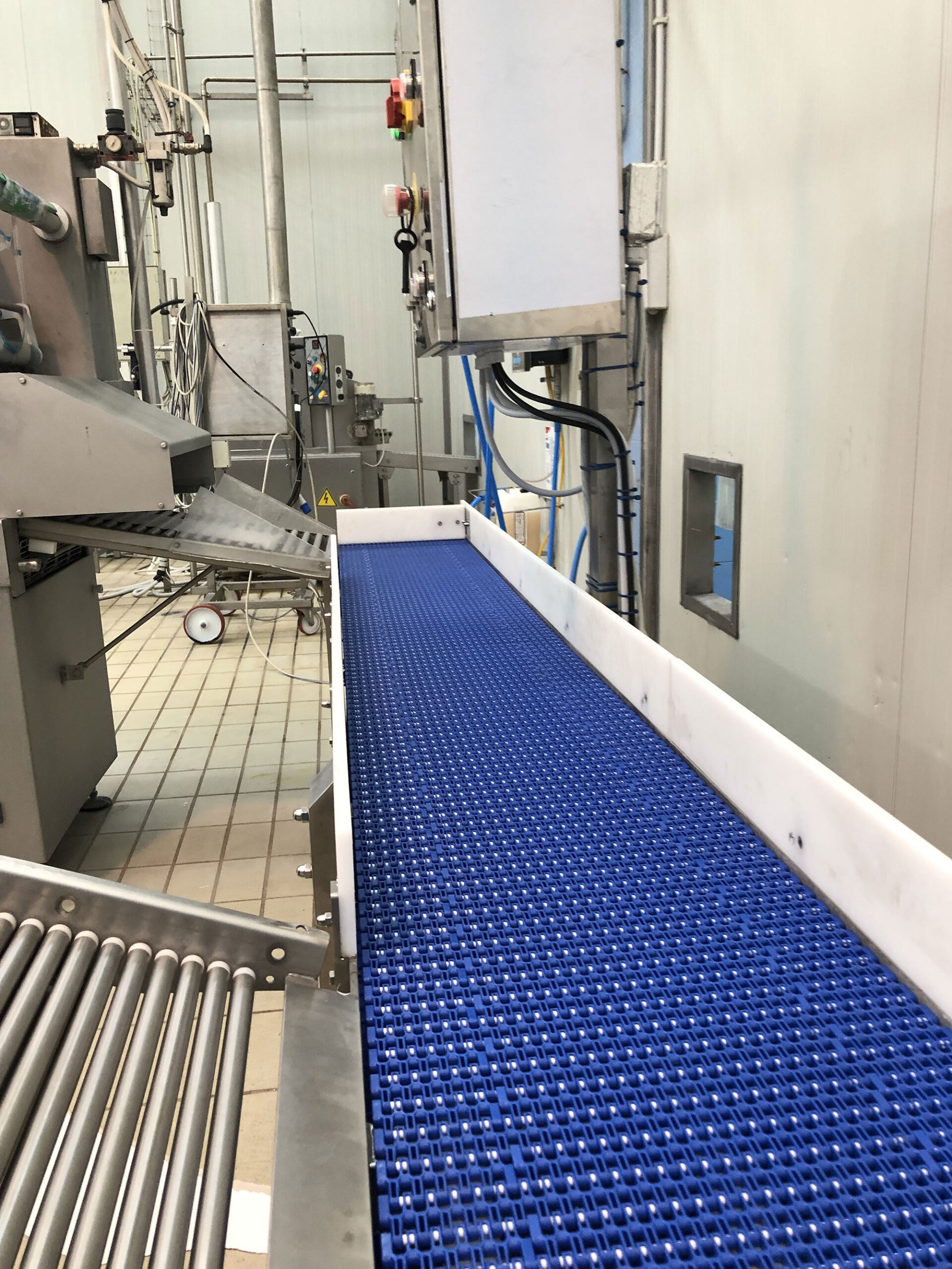 Nastri trasportatore - Ragusa - Alginox