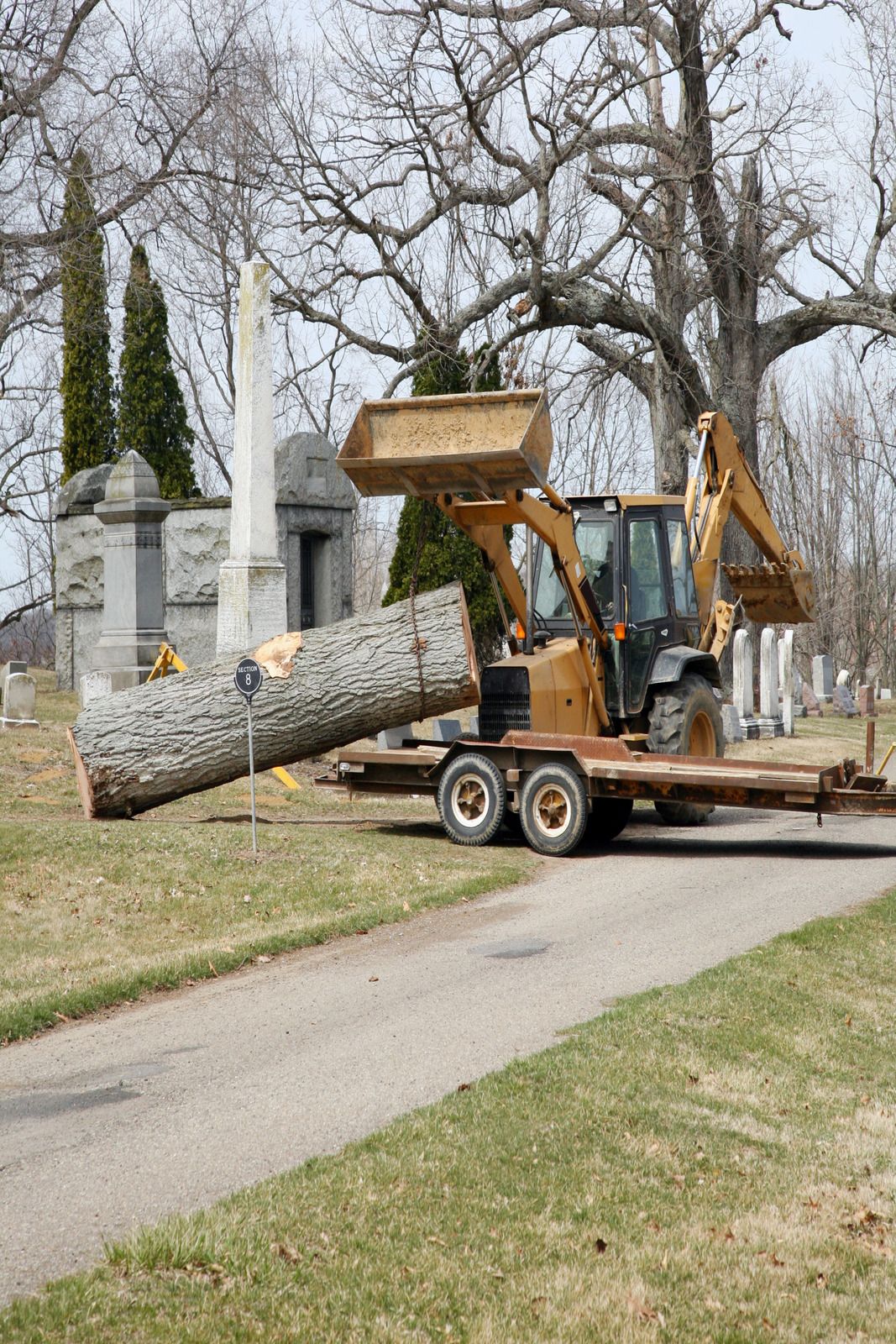 Gallery | San Diego, CA | Greenline Tree Service