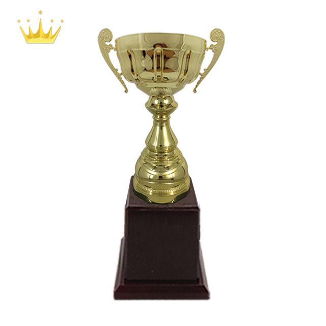 Metal Cup Trophy Supplier & Manufacturer | Baguss Trophy
