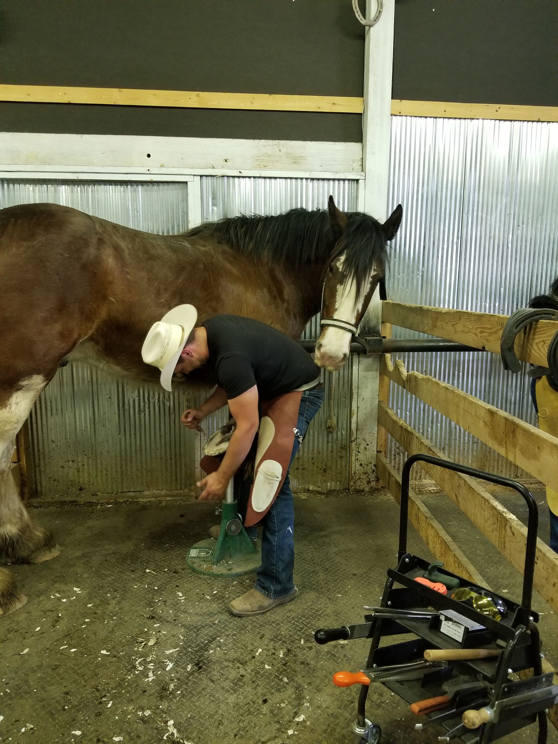 About Us | Wyoming School of Horseshoeing