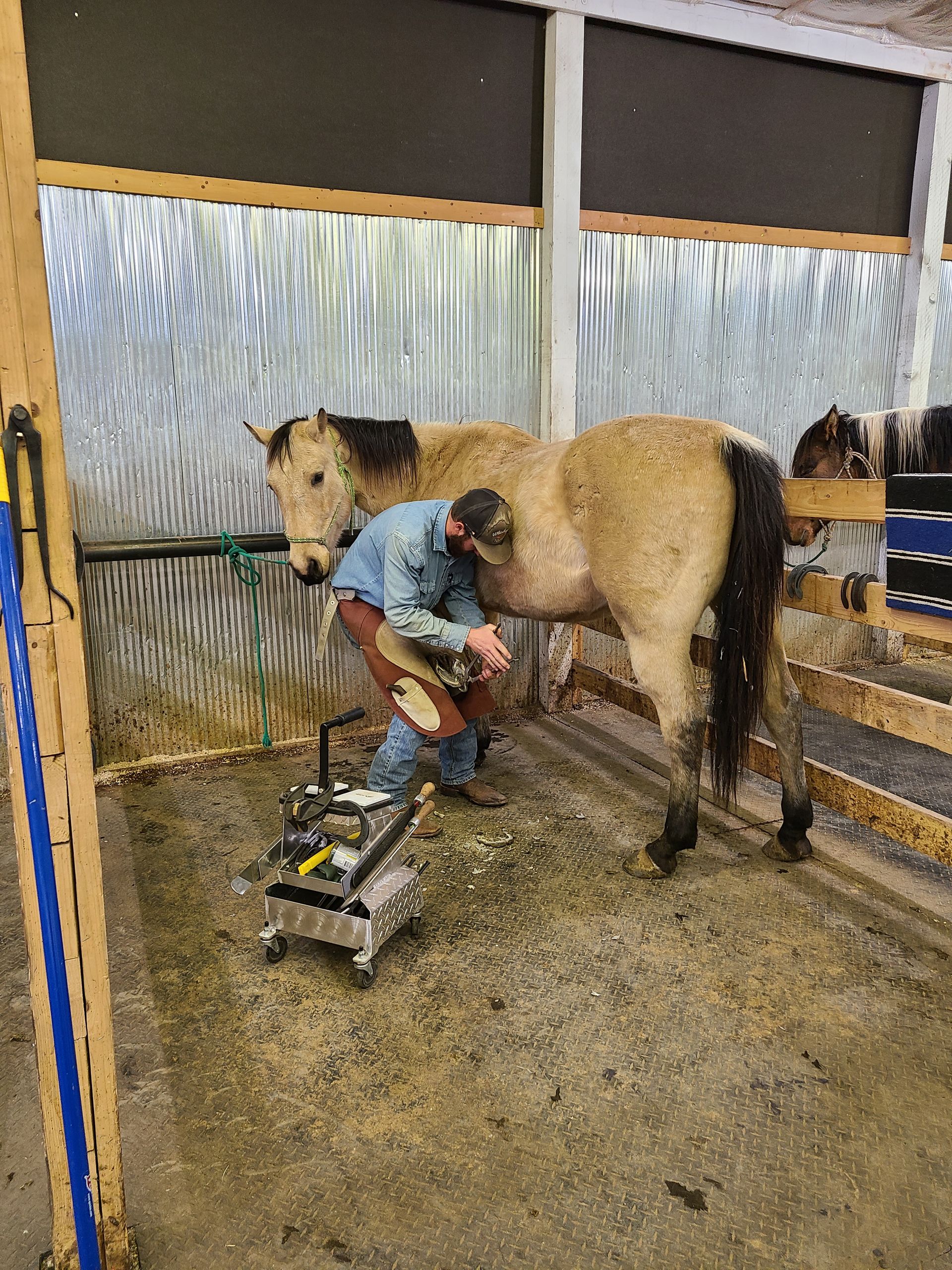 About Us | Wyoming School of Horseshoeing