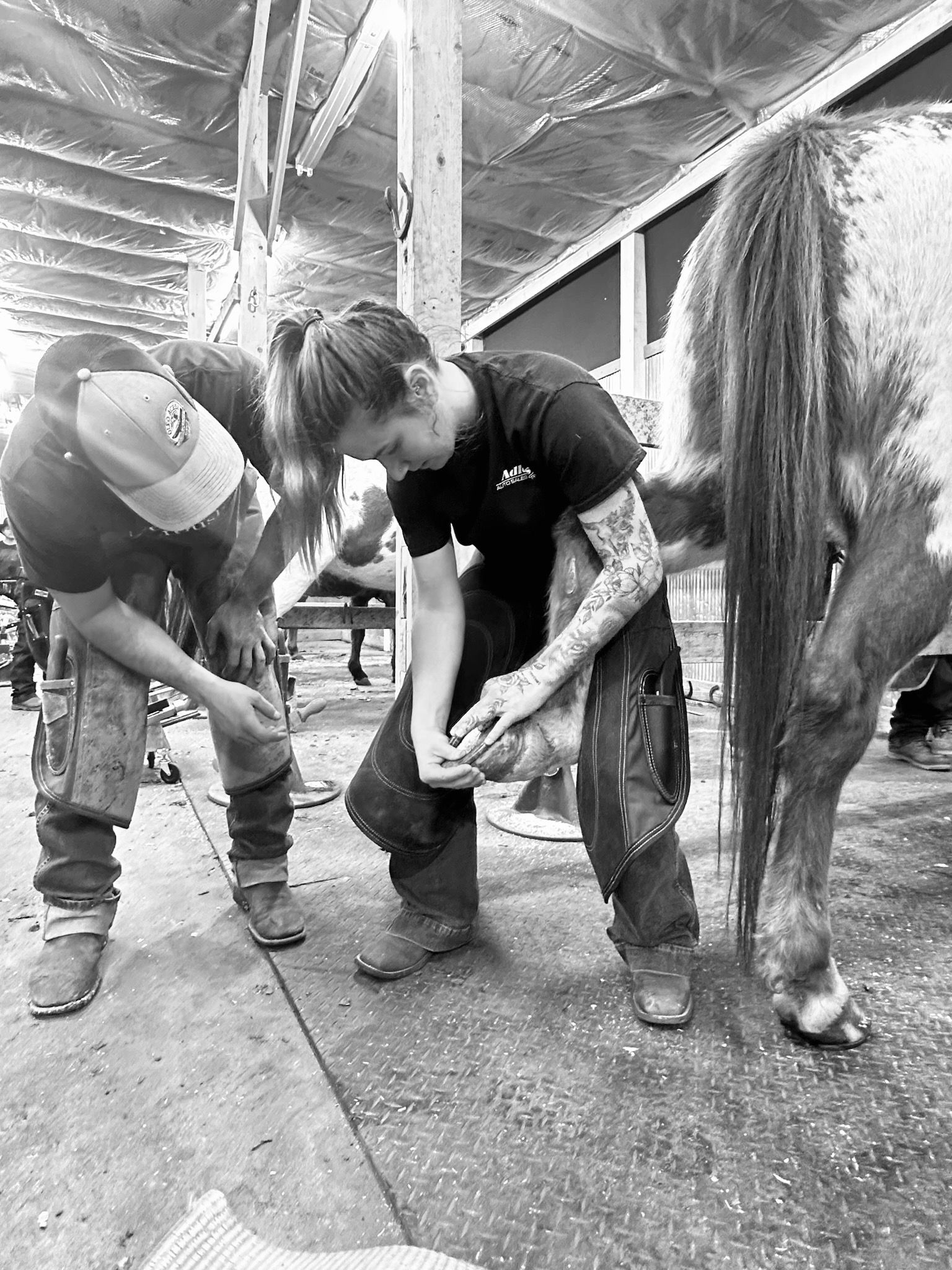 About Us | Wyoming School of Horseshoeing