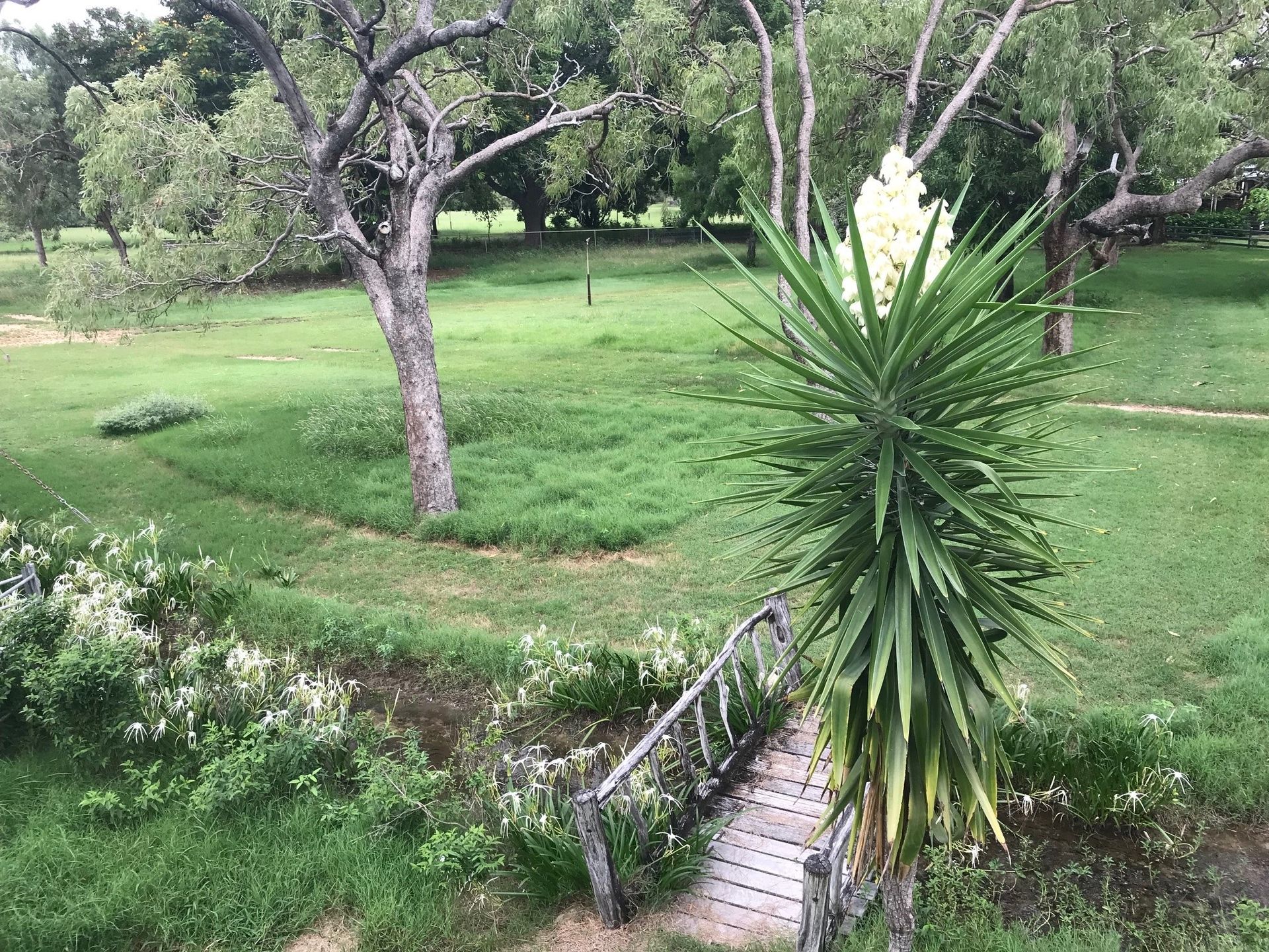 RG Keats and Co | Photo Gallery of Bow Park